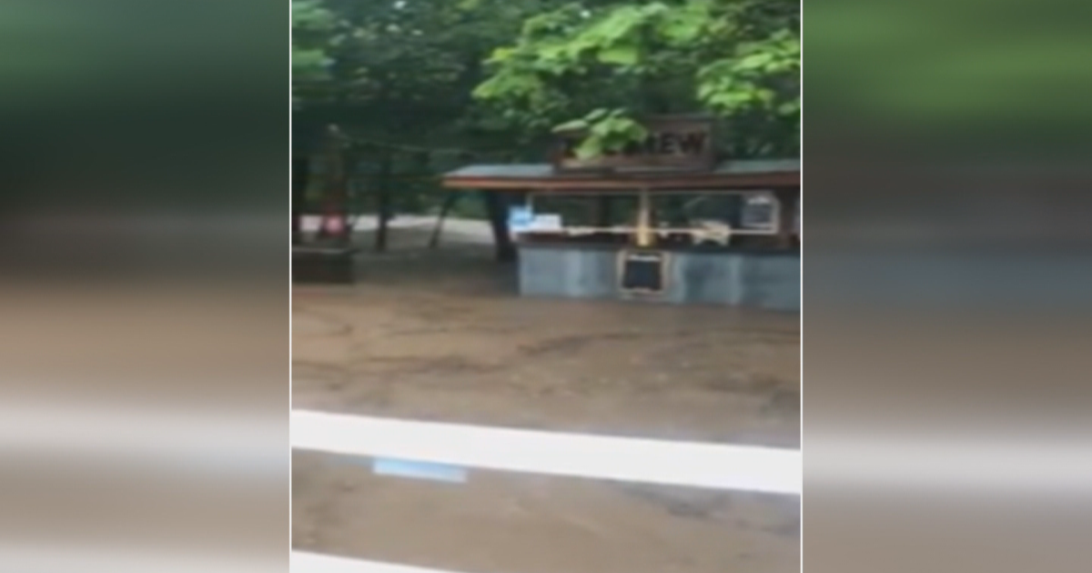 Staff Members Rush To Move Animals To Safety After Flash Flooding Hits ...