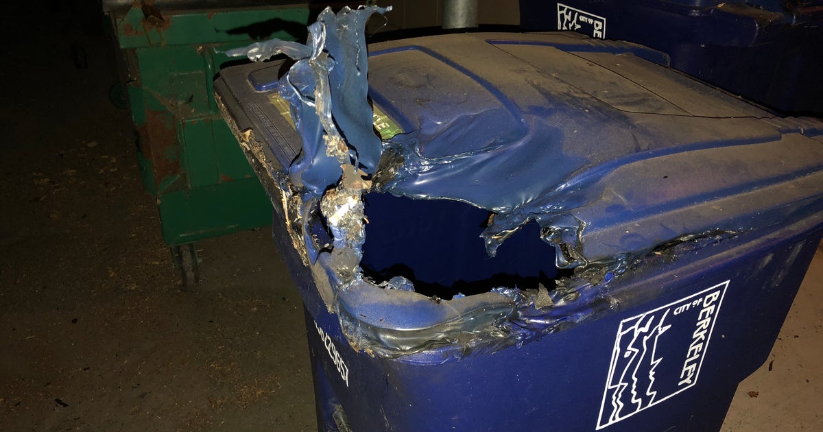 Police Arrest Woman Suspected Of Setting Fire To Trash Bin Behind ...