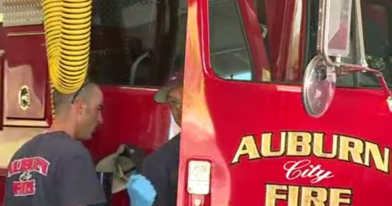 All Hands On Deck As Cal Fire Prepares For, Responds To Fire Amid ...