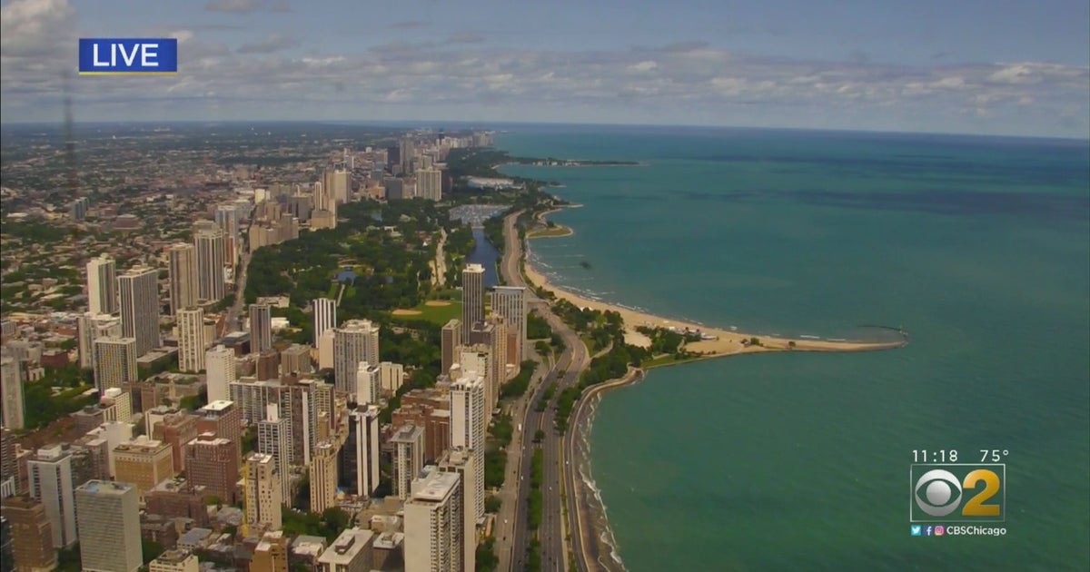 Reef Project Coming To Lakeshore This Fall - CBS Chicago