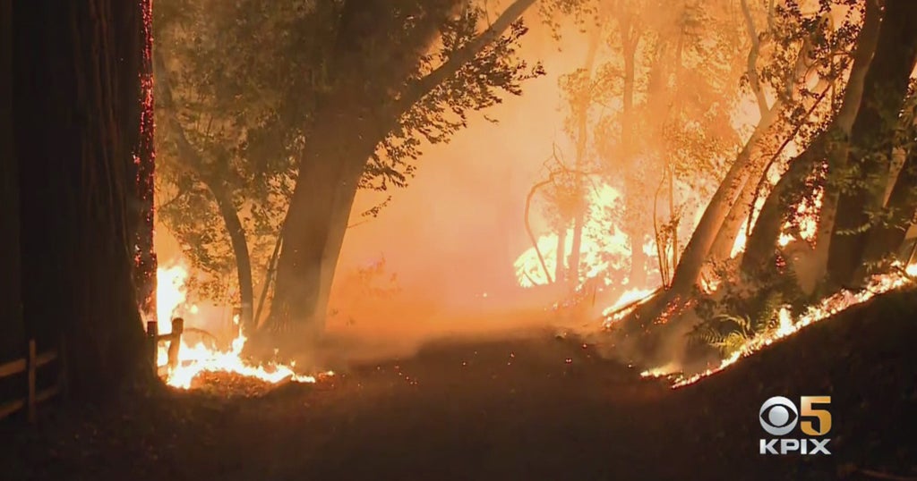 Cal Fire: California Wildfires Burned Area Larger Than Rhode Island ...