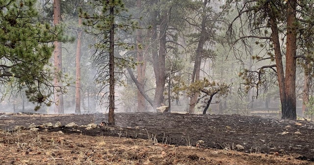 Thorpe Fire Now 50% Contained In Park County - CBS Colorado
