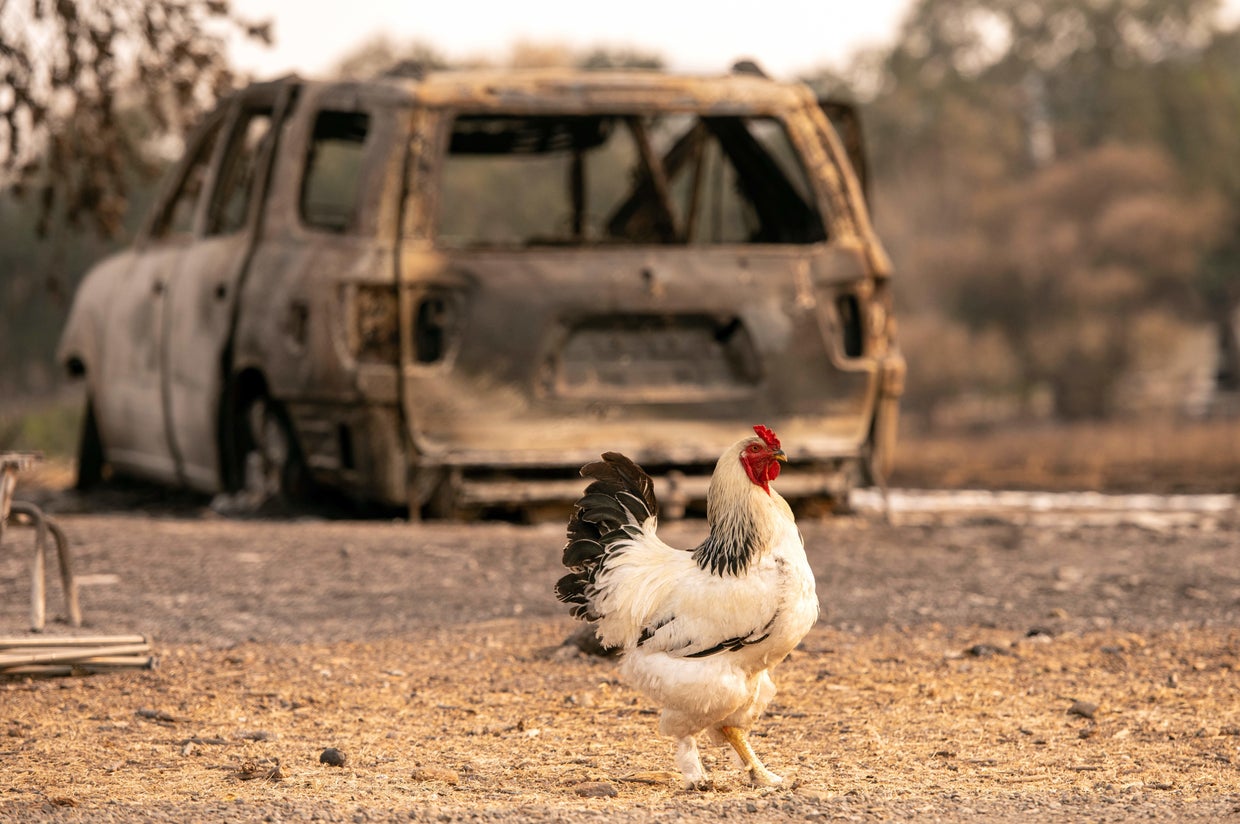 California fires 2020: Homes burn, thousands evacuated