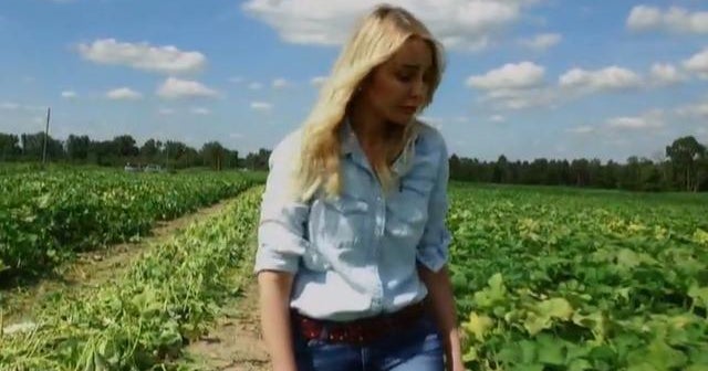 Sarah Frey's journey from selling melons to building a multi-state ...