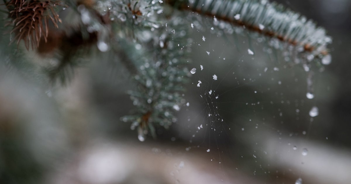 Snow day Wednesday for Jefferson County's mountain schools - CBS Colorado