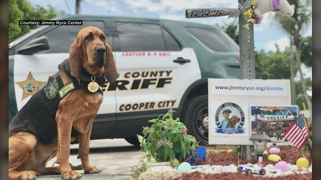 Jimmy Ryce Remembered With Tears, Prayers & Father's Poem 25 Years ...