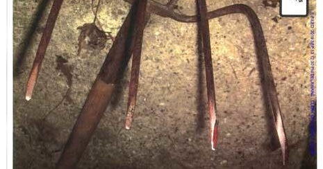 Evidence in the Amy Mullis corn rake murder case