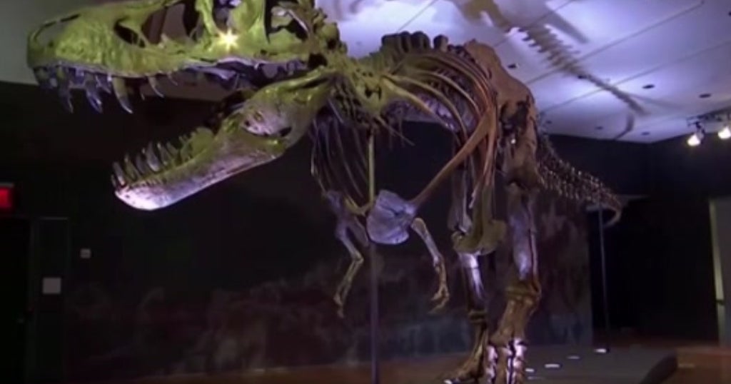 One Of The World's Most Complete T. Rex Skeletons Sells for $27.6M ...