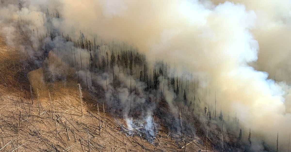 Crews Hope To Contain Middle Fork Fire Burning In Routt County By ...