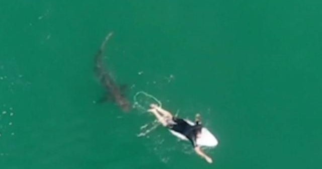Unsettling drone video shows surfer's close encounter with massive ...