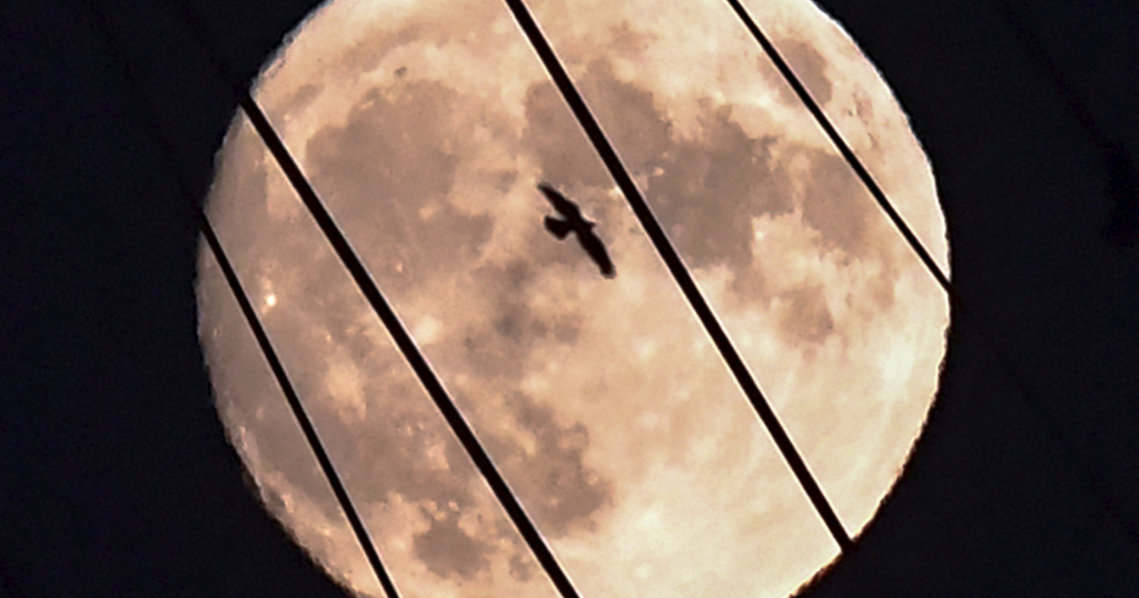 Rare Halloween 'Blue Moon' To Light Up The Sky - CBS Pittsburgh