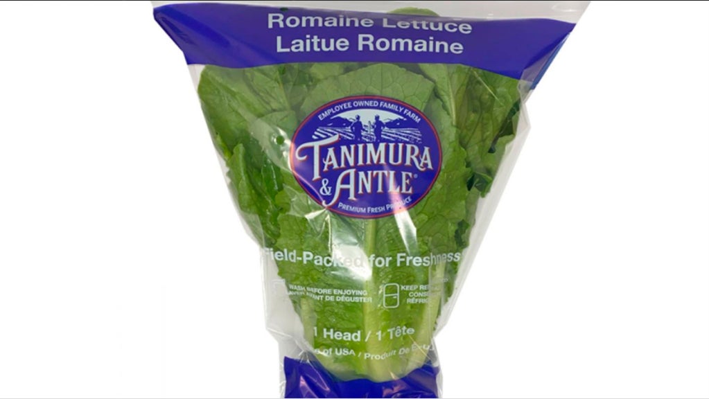 Romaine Lettuce Recalled In Massachusetts And Other States For Possible ...