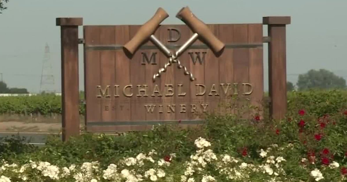 Lodi's Michael David Winery Named American Winery Of The Year By Wine ...