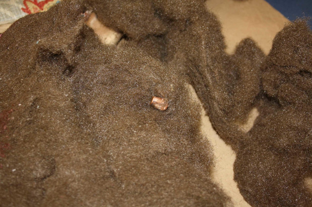 Inside the Nicole Addimando murder case