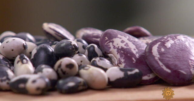 Heirloom beans, from Napa Valley to your mailbox - CBS News