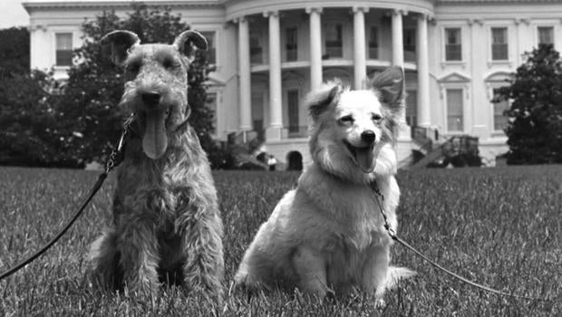 Presidential pets: JFK's canine détente - CBS News
