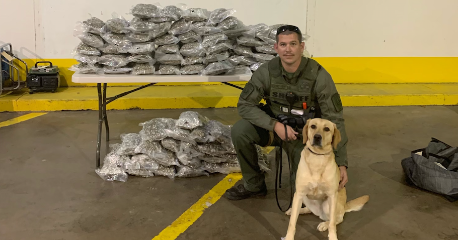 Parker County Deputies Seize 100 Pounds Of Marijuana, Liquid THC During ...