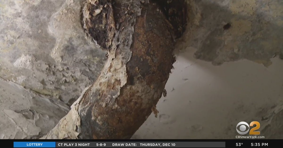 New Law Requires NYCHA To Inform Residents What To Do If Mold ...