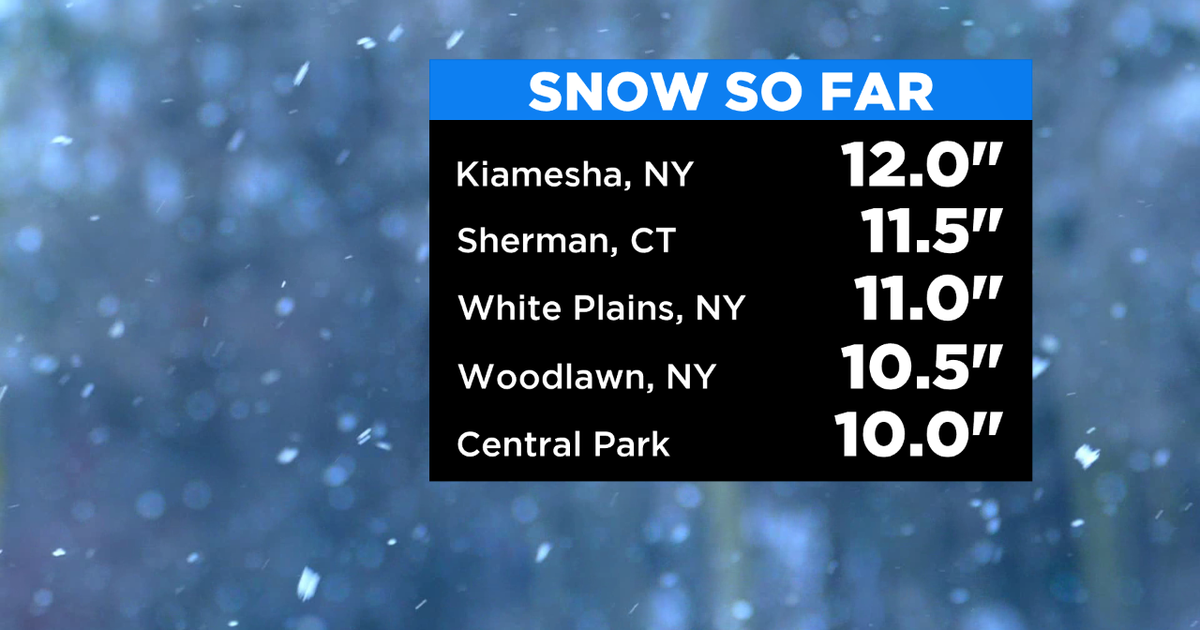 Snow Totals Around The Tri-State Area - CBS New York