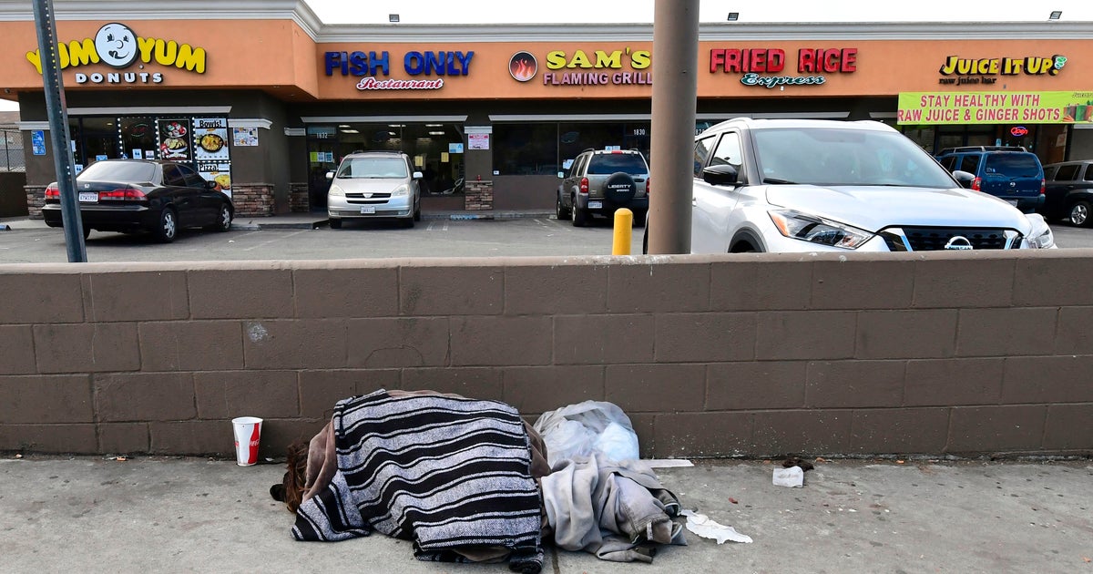 LA Councilman Proposes Tiny Home Camps For The Homeless In Pacific ...