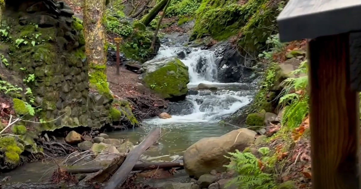 VIDEO: Uvas Canyon County Park Waterfalls Energized By Week Of Stormy ...