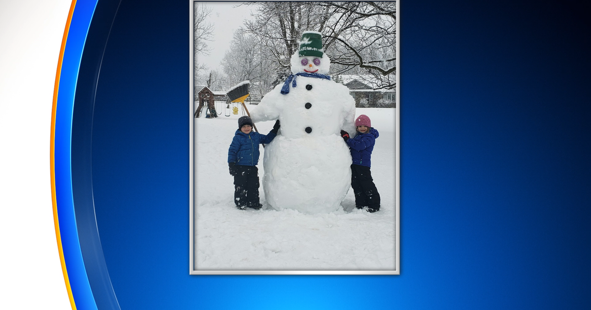 Montgomery County Twins Put Building Skills To Work Creating 7-Foot ...