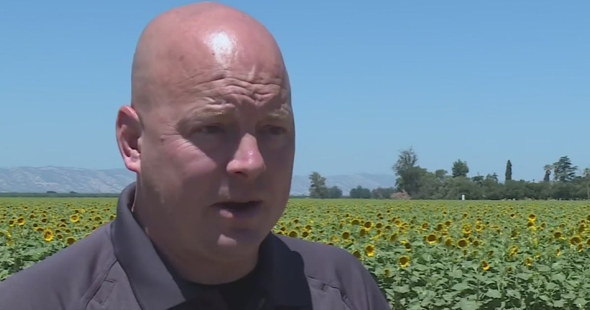 Chris Pratt's Brother, A Solano County Sgt., Accused Of Showing Support ...