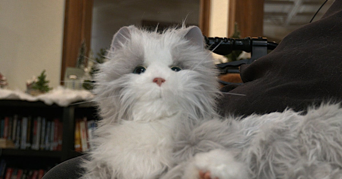 Animatronic Pets Providing Sense Of Companionship To Senior Community ...