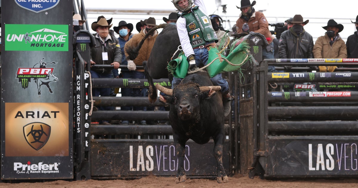 Chef, Author Kamal Al-Faqih Dishes Up Lebanese Cuisine - CBS Los Angeles