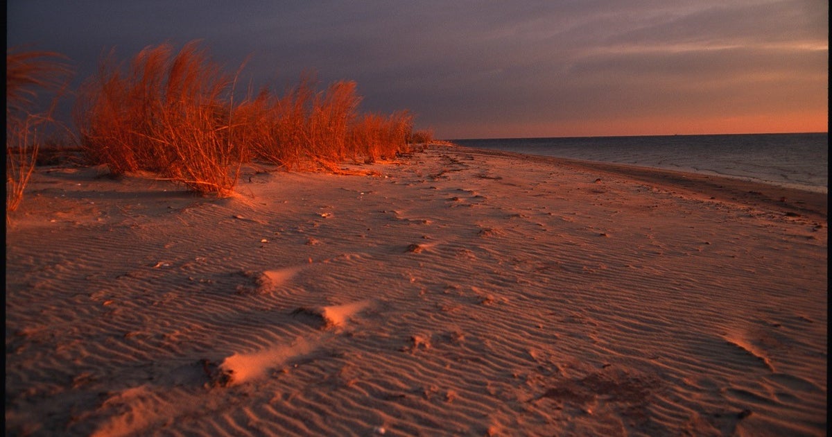 PHOTOS: Chesapeake Bay Photos By Bill Portlock