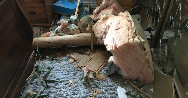 Video: Multiple Trees Fall On Homes, Leading To Injuries During Severe ...