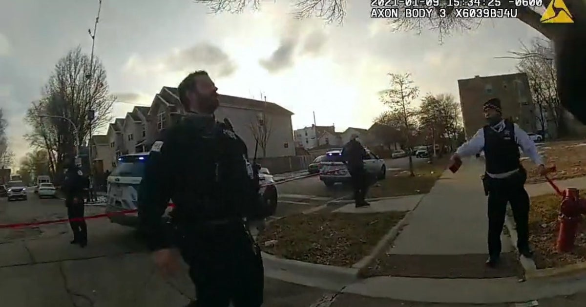 COPA Releases Video, Other Materials From January Incident Where Police ...