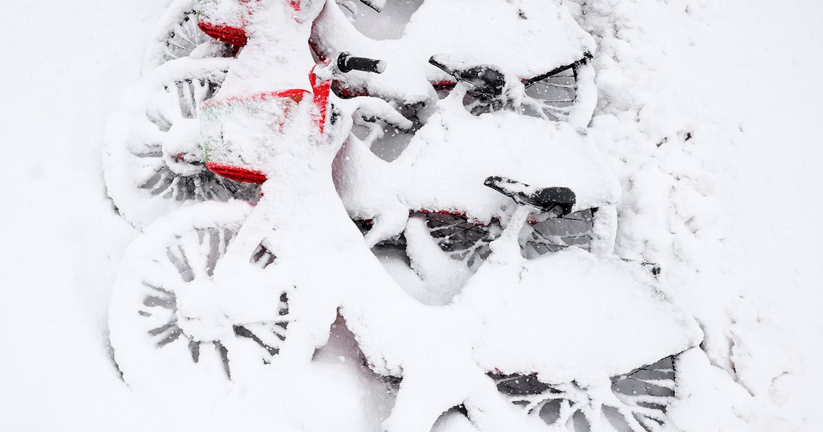 Colorado Snow Totals: Blizzard Of 2021 Drops More Than A Foot In Many ...