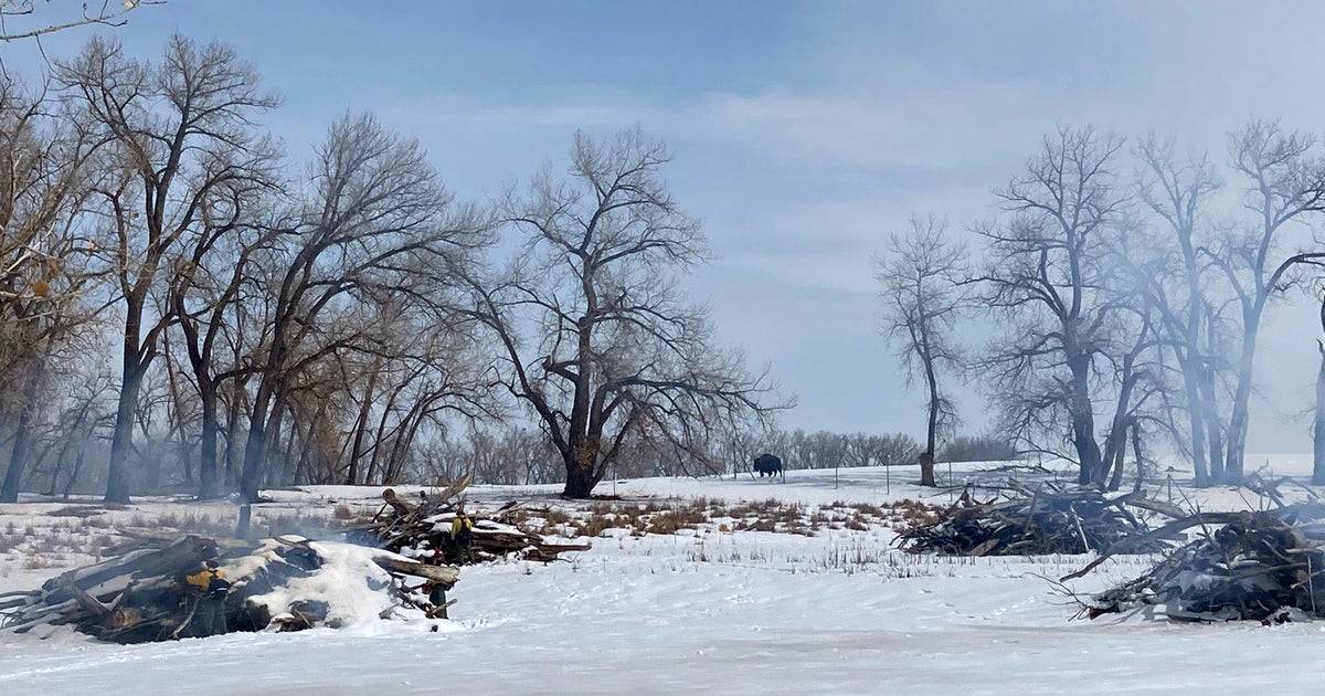 Crews Burn Slash Piles In Snow Drifts After Blizzard - CBS Colorado