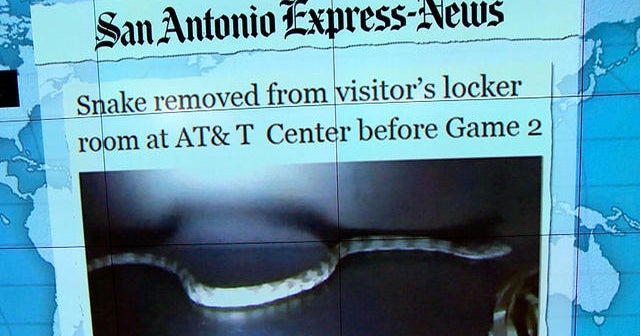 Headlines at 8:30: Blazers find snake in locker room during Spurs game ...