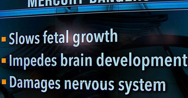 FDA: Pregnant women, children should eat low-mercury fish - CBS News