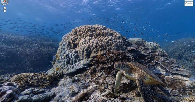 Explore the oceans with amazing underwater survey - CBS News