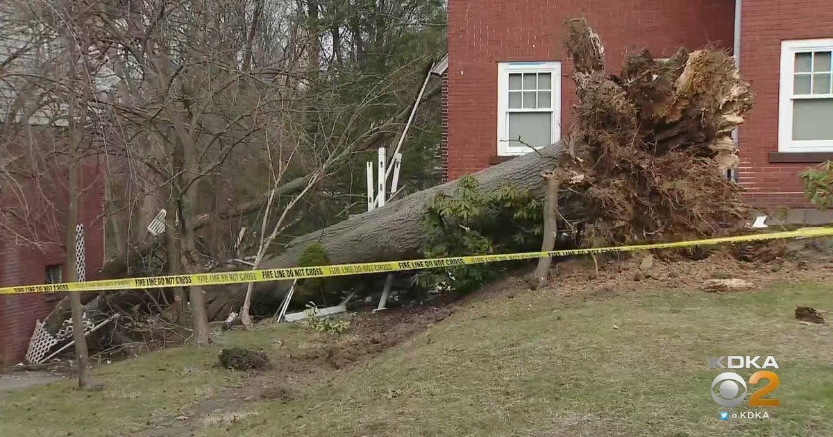 Families Picking Up The Pieces After Tree Falls Onto 2 Homes In Oakmont ...