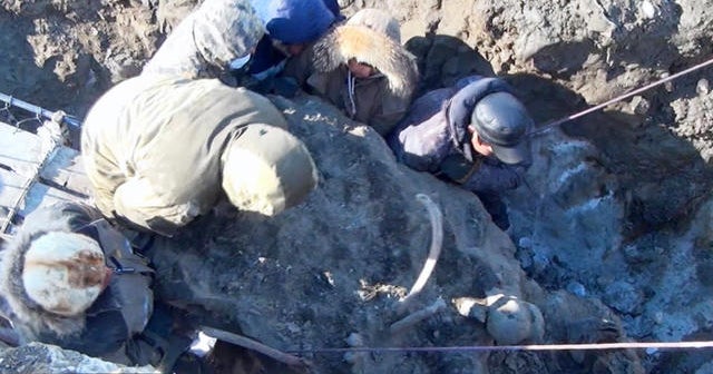 New documentary explores cloning woolly mammoths - CBS News