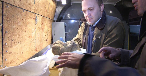 Record breaking truffle could fetch nearly $1 million - CBS News