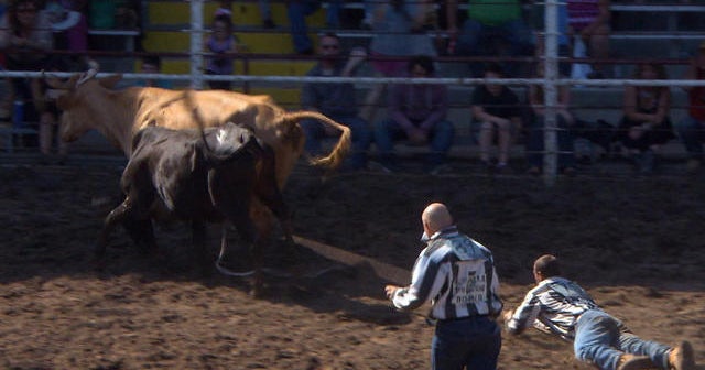 A visit to a prison rodeo - CBS News