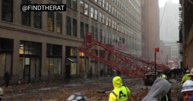 Massive crane collapses as crews were securing it in place - CBS News