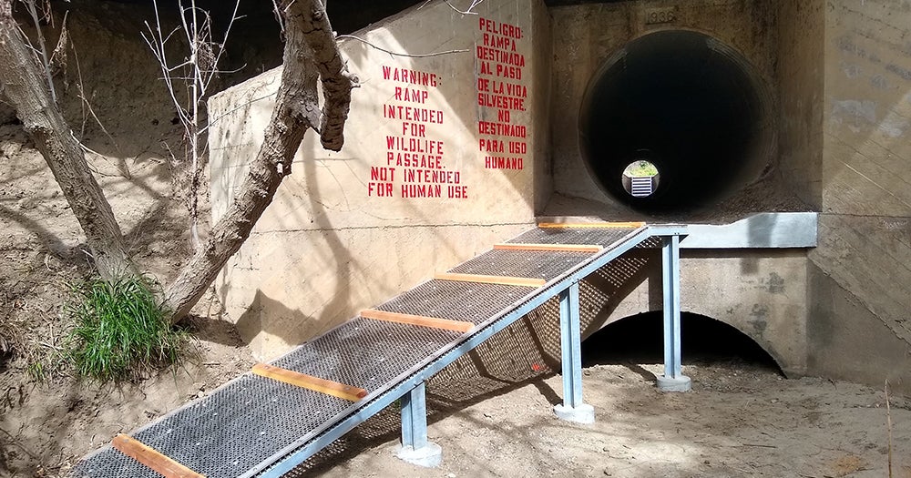 5 Drainage Culverts Retrofitted For Safer Wildlife Crossing Along 12 ...