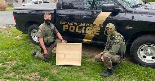 Maryland Natural Resources Officers Rescue Ospreys From Partially ...