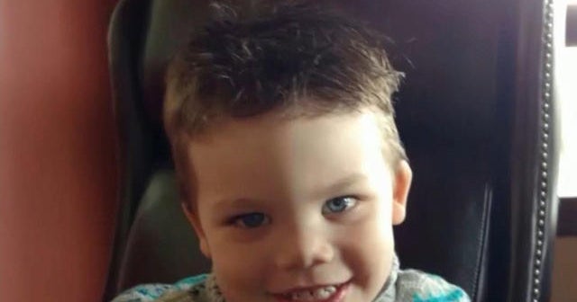 Disney gator attack raises safety concerns - CBS News