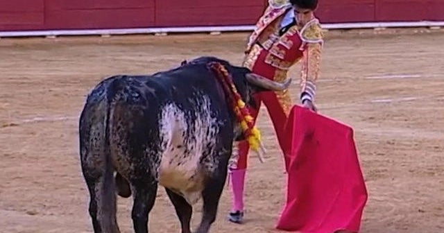Matador gored to death in bullfight - CBS News