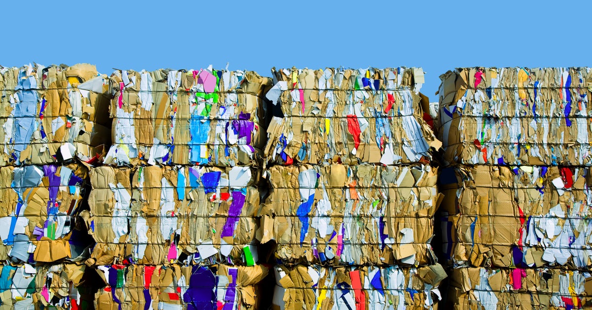 Reducing Your Environmental Footprint: How To Reuse, Recycle, Repurpose ...