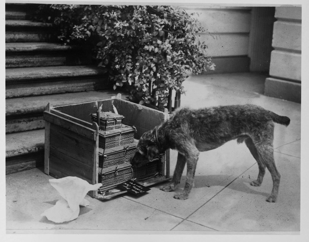 What America looked like in 1921 at the start of the Roaring 20s