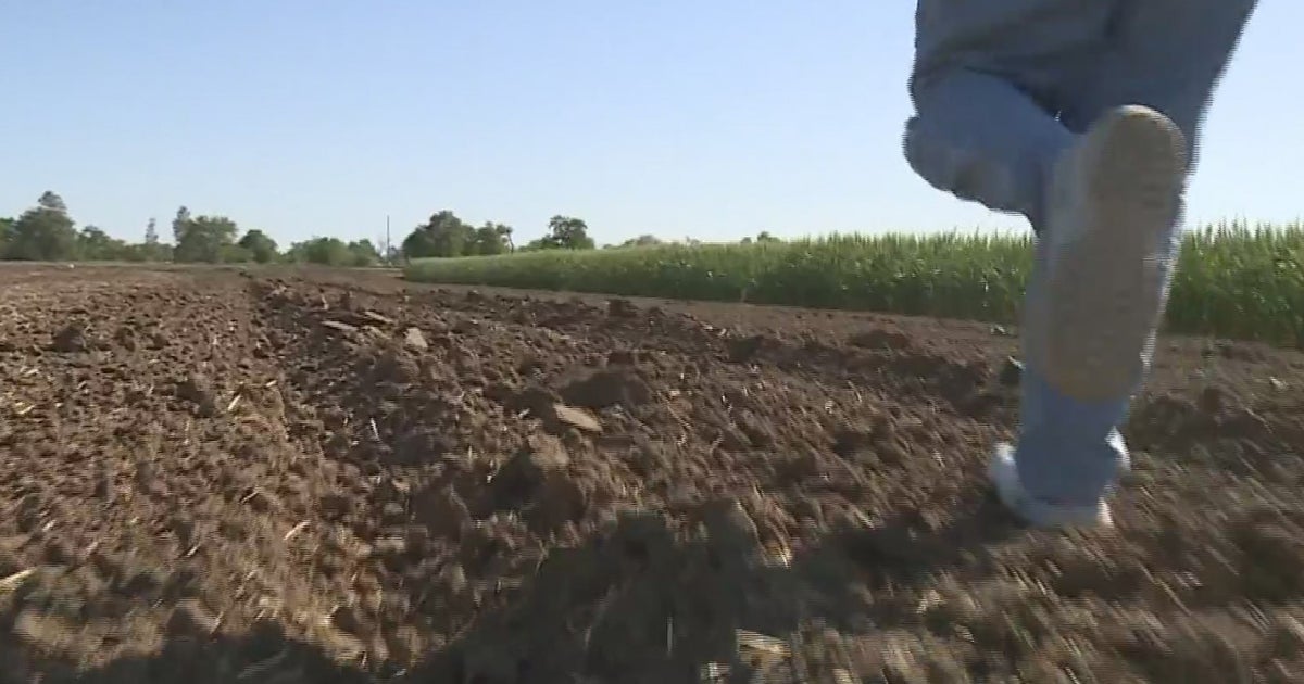 Researchers Show How Soil Is Unsuspecting Weapon In Fighting Climate ...