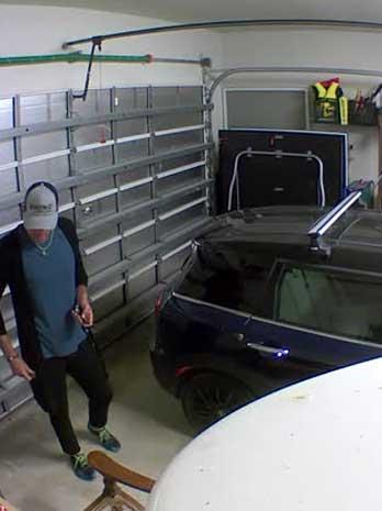 Searching for Gretchen Anthony: The evidence